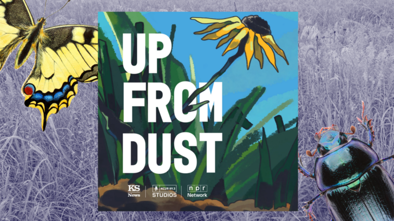 New local podcast brings energy, avoids fatalism about Kansas ...