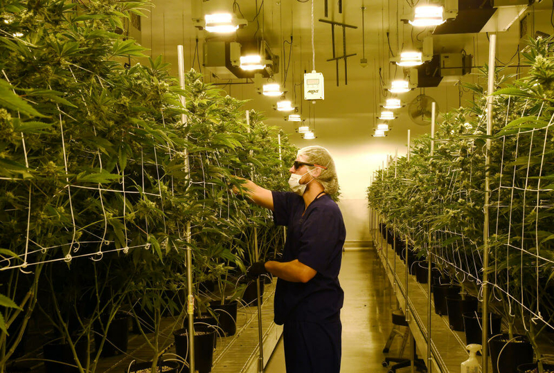 Cannabis project shows Iron Range addiction to big promises | News From ...