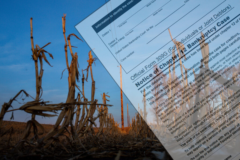 Minnesota led the nation in farm bankruptcies in the first quarter, and ...