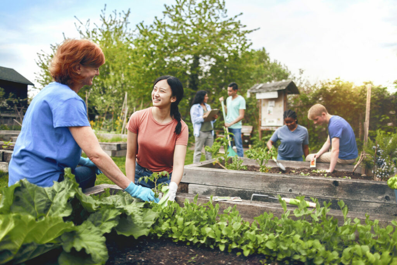Community gardens are good for more than fresh food | News From The States