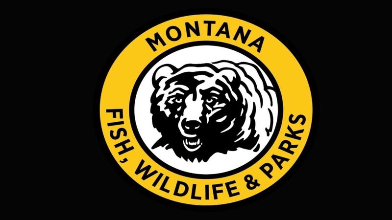 ‘Change is hard’: Legislators point to issues with new FWP licensing ...