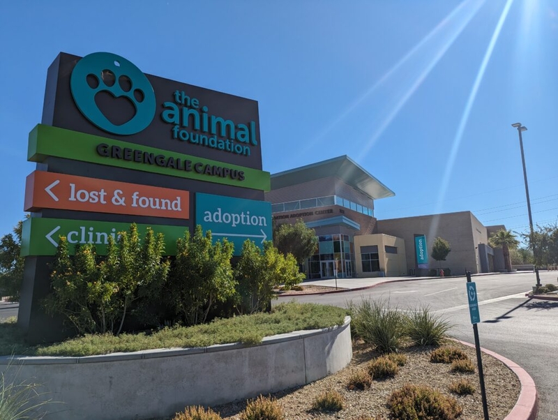 Animal Foundation’s lacking performance lands Clark County ‘between a ...