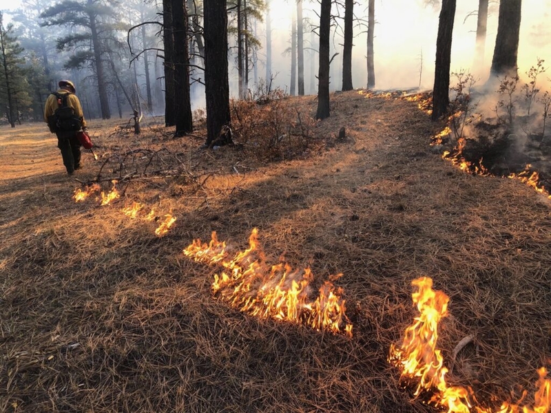 New Mexico enacts sweeping statewide fire restrictions to prevent ...