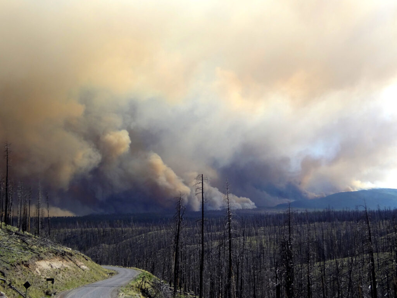 ‘It’s bad’: How drought, lack of snowpack and federal cuts could spell ...