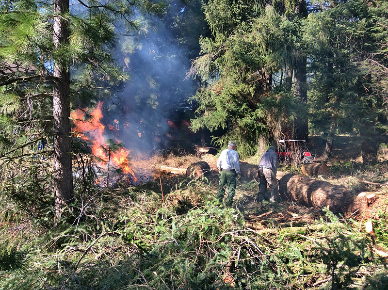 Oregon bill would require home insurers to consider wildfire prevention ...