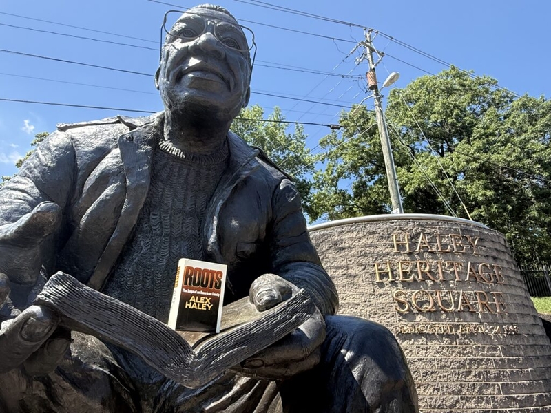 Knox County votes to challenge Tennessee’s book ban law after ‘Roots ...