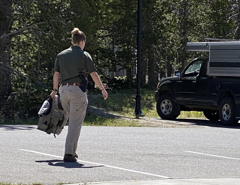 Dozens of shots sparked fear, panic, Yellowstone workers recount | News ...