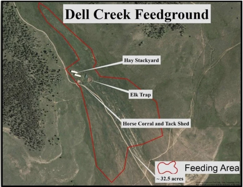 CWD ‘epidemic’ emerging at Wyoming elk feedground in the Hoback Basin ...