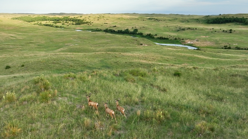 $50M price tag for historic Sandhills ranch said to be record-buster ...