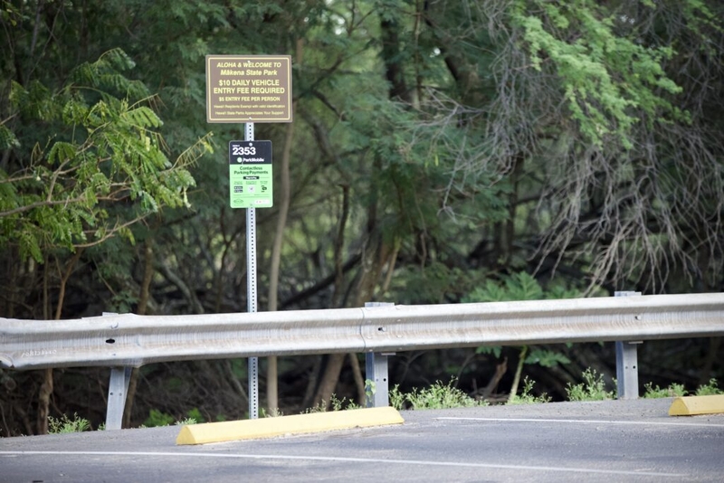 Maui’s Last Wild Beaches: Locals Fear Upgrades Will Sideline Them ...