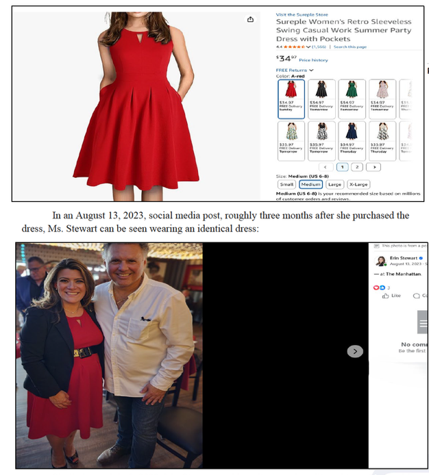 Erin Stewart, accused of fraud as mayor, suspends campaign for governor ...