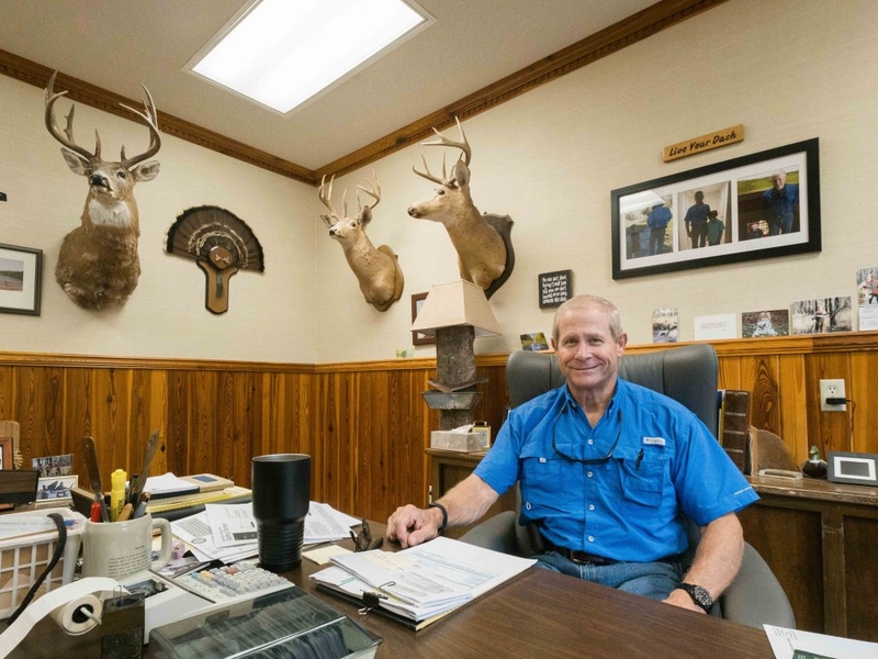 Georgia timber industry seeks innovative solutions amid market ...