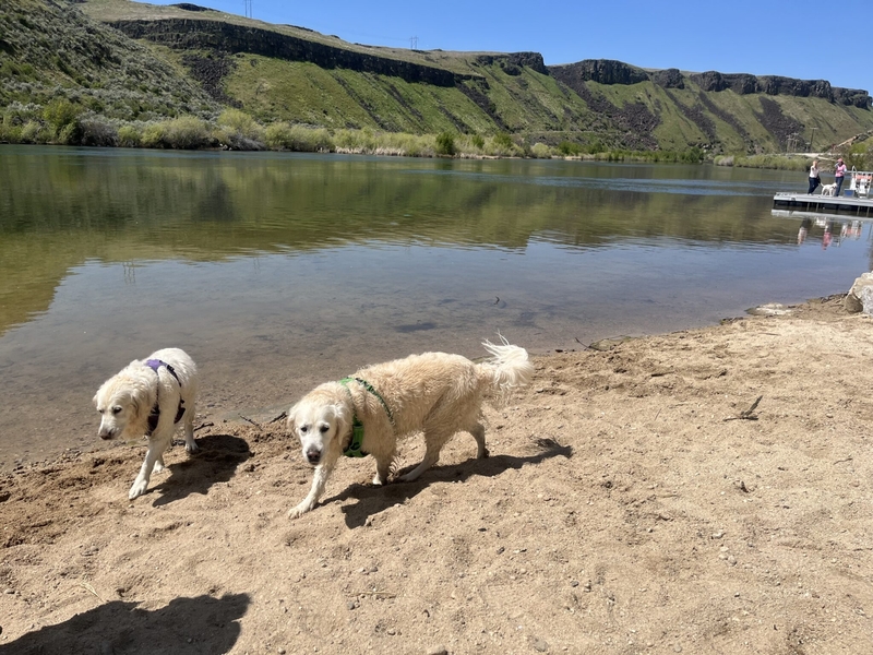 Officials open new accessible kayak launch, dog beach at Idaho State ...