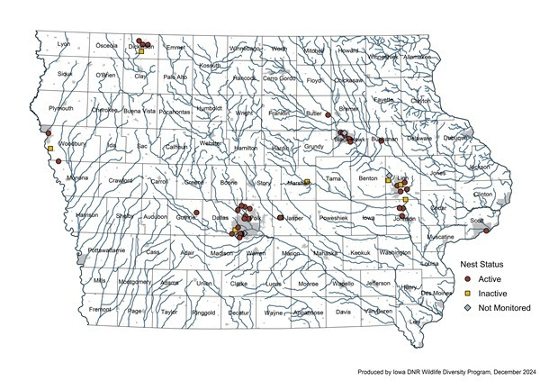 Iowa osprey population continues to grow, DNR reports | News From The ...