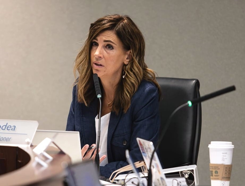 Nessel challenges order to keep J.H. Campbell Plant open as energy ...