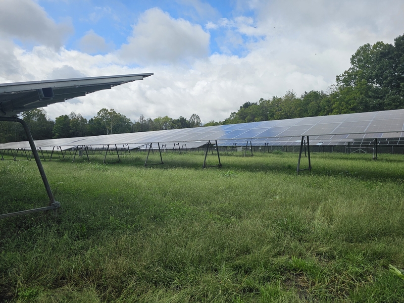 Dominion Energy pairs solar with honey bees to preserve agricultural ...