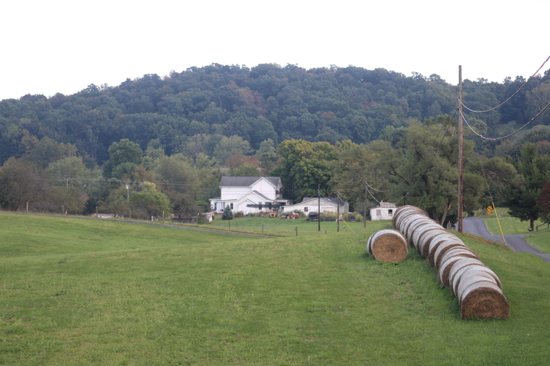 Despite recent rain, farmers in Virginia struggle with effects of ...