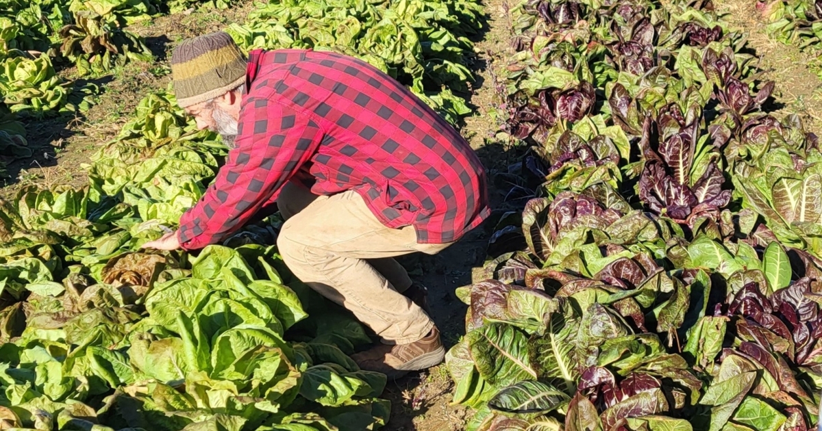 Climate change taking toll on Mass. farms | News From The States