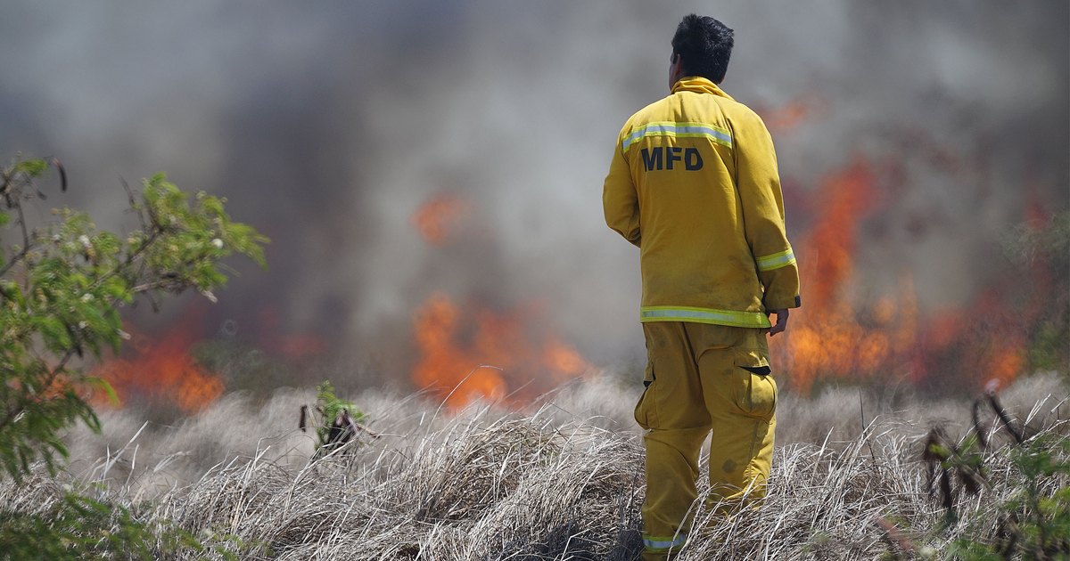 Hawaii Is The Only State Without A Fire Marshal, Leaving Gaps In ...