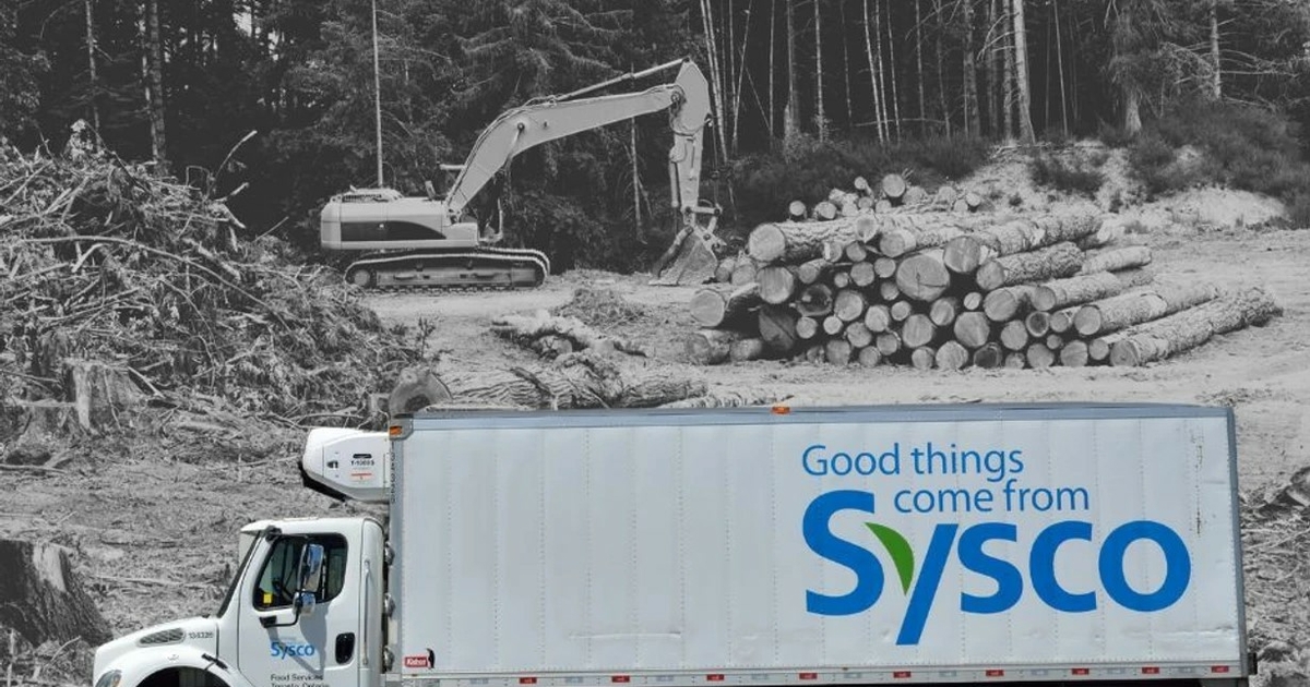 As Hochul Weighs Deforestation Bill, Sysco Steps in to Lobby | News ...