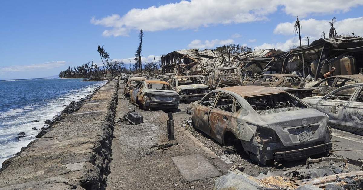 Hawaii Fires HECO’s Board Chair Is Suing His Own Utility Over The Maui ...