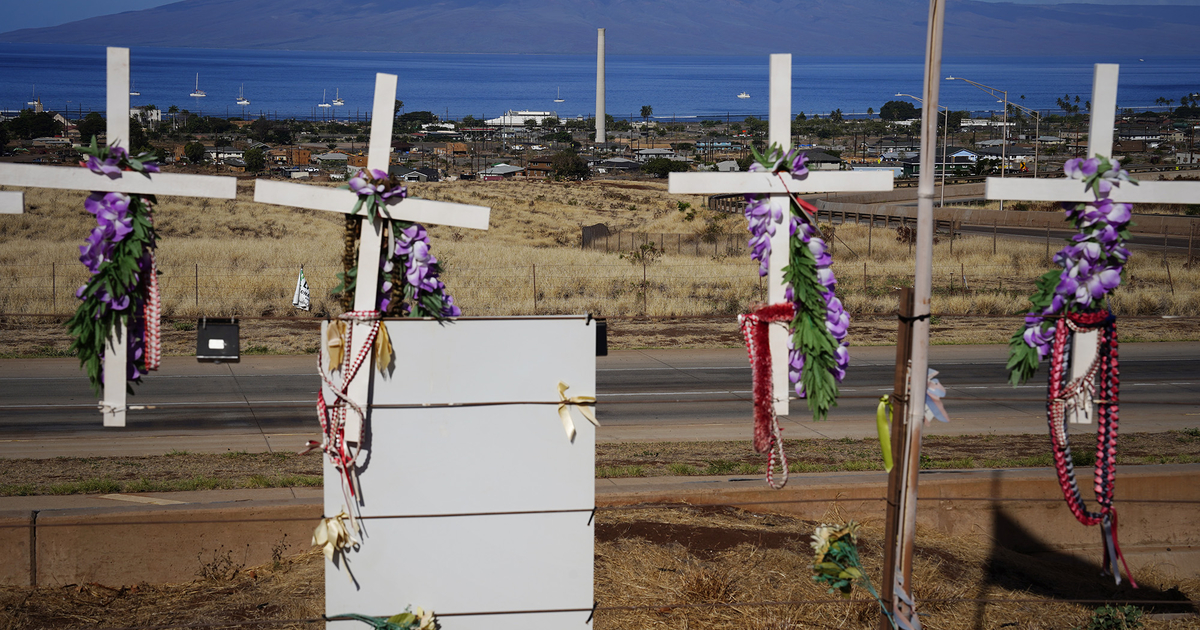 His Life In Lahaina Descended Into Homelessness, Then Death In Fire ...