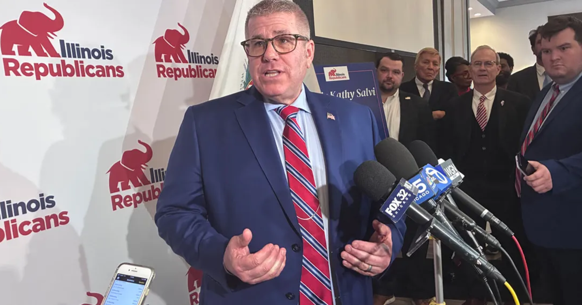 Bailey says campaign will focus on Chicago area after rough primary ...