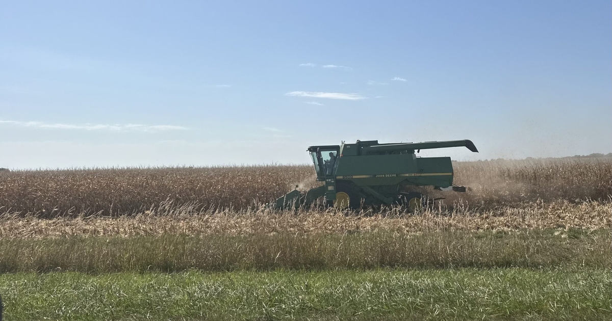 US House passes ‘skinny’ farm bill that keeps big GOP cuts to food ...