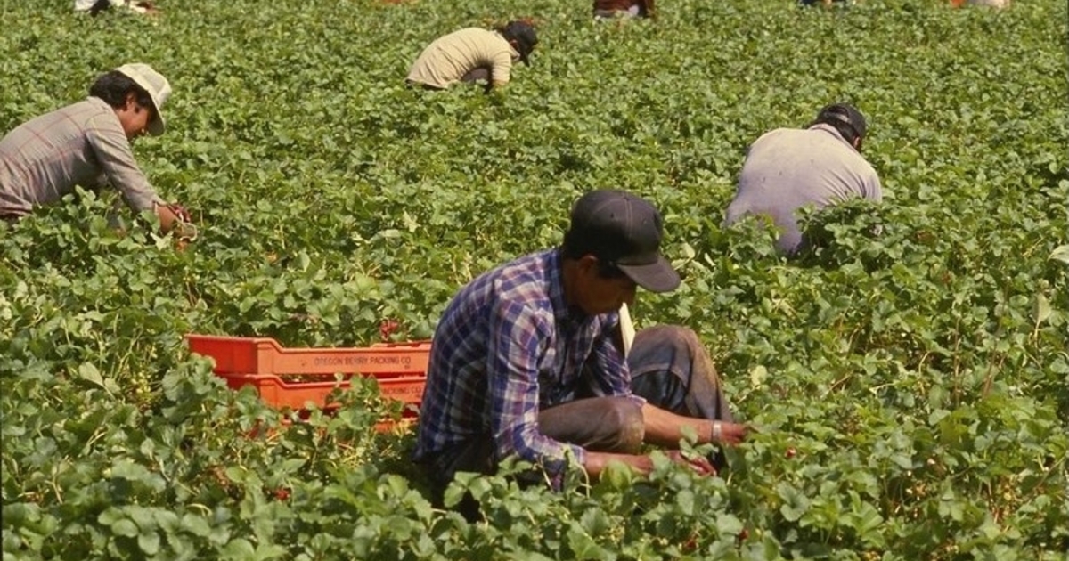 Farmworker minimum wage bill headed to Gov. Mills | News From The States