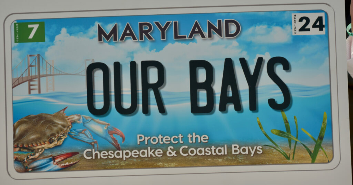 Maryland tweaks popular Chesapeake Bay plates | News From The States
