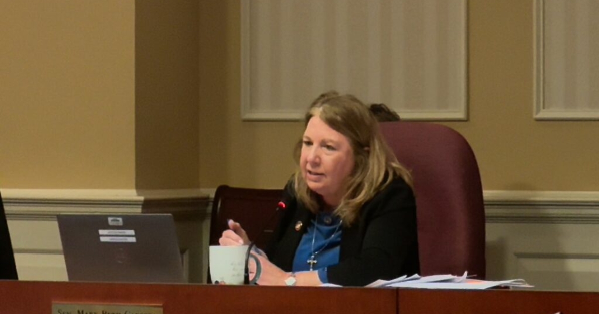 Second Senate panel needs more time to assess Blueprint measure | News ...