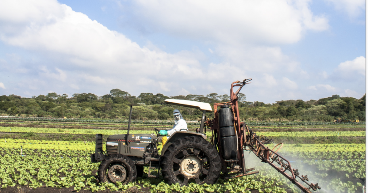 Environmental advocates urge lawmakers to remove pesticide section from ...