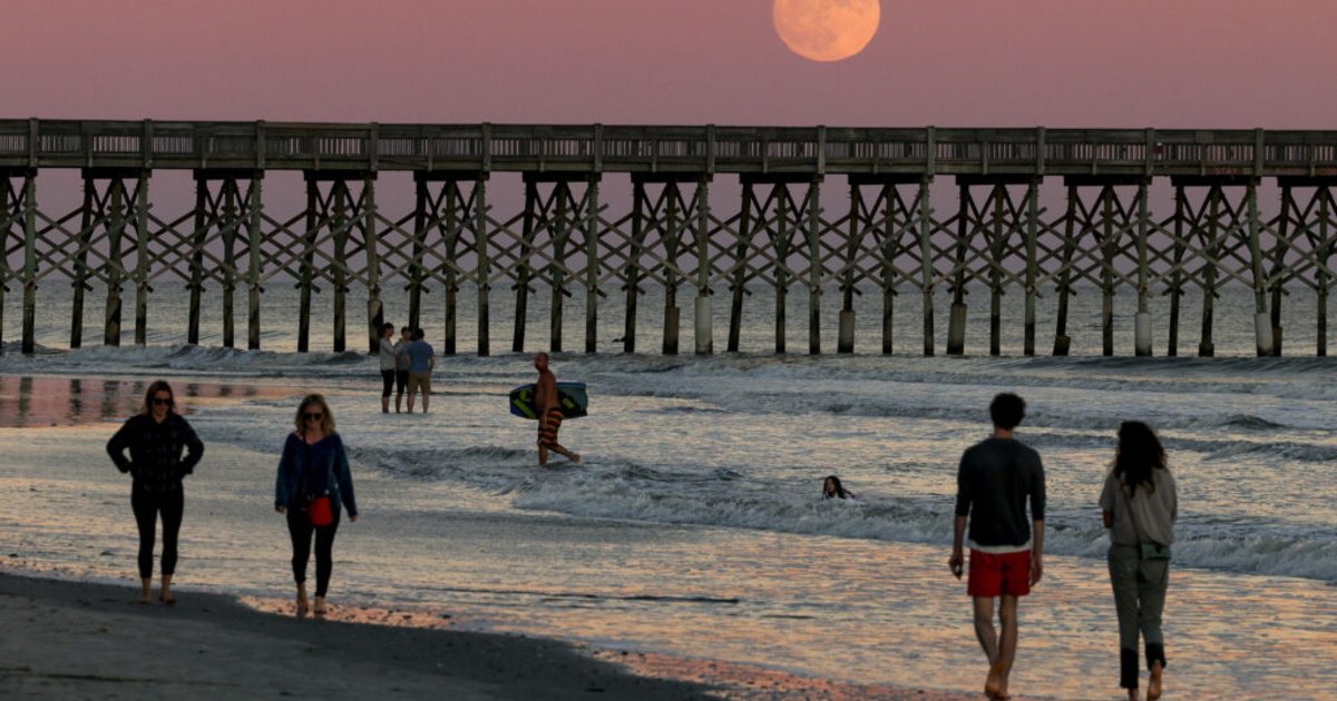 Weekend humor from Celia Rivenbark: My vacation house elevator horror ...