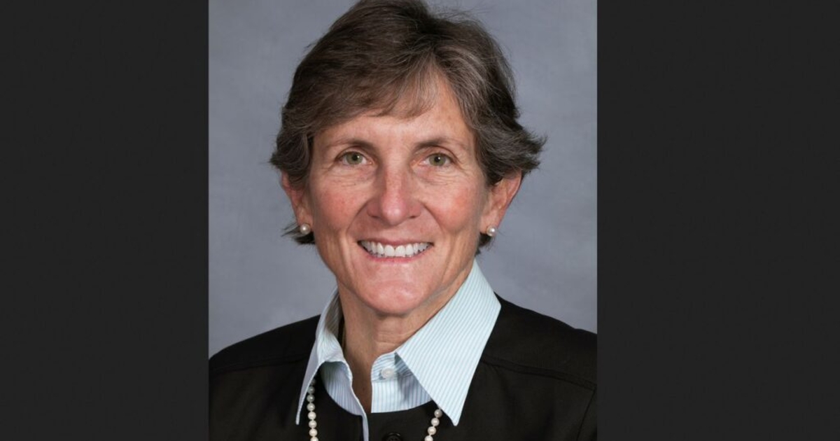 State Rep. Pricey Harrison on the climate crisis and lessons from ...