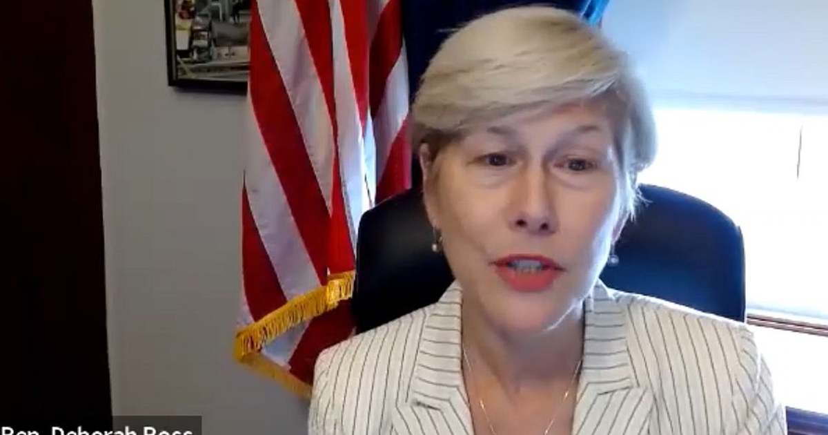 Rep. Deborah Ross on the Republican mega-bill, the war on public ...