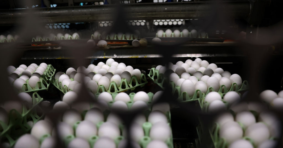 With egg prices predicted to soar, state ag commissioners welcome USDA ...