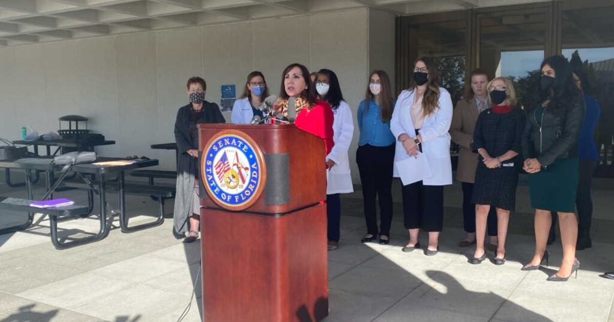 New Senate Democratic leader Berman says the party is ‘alive and ...