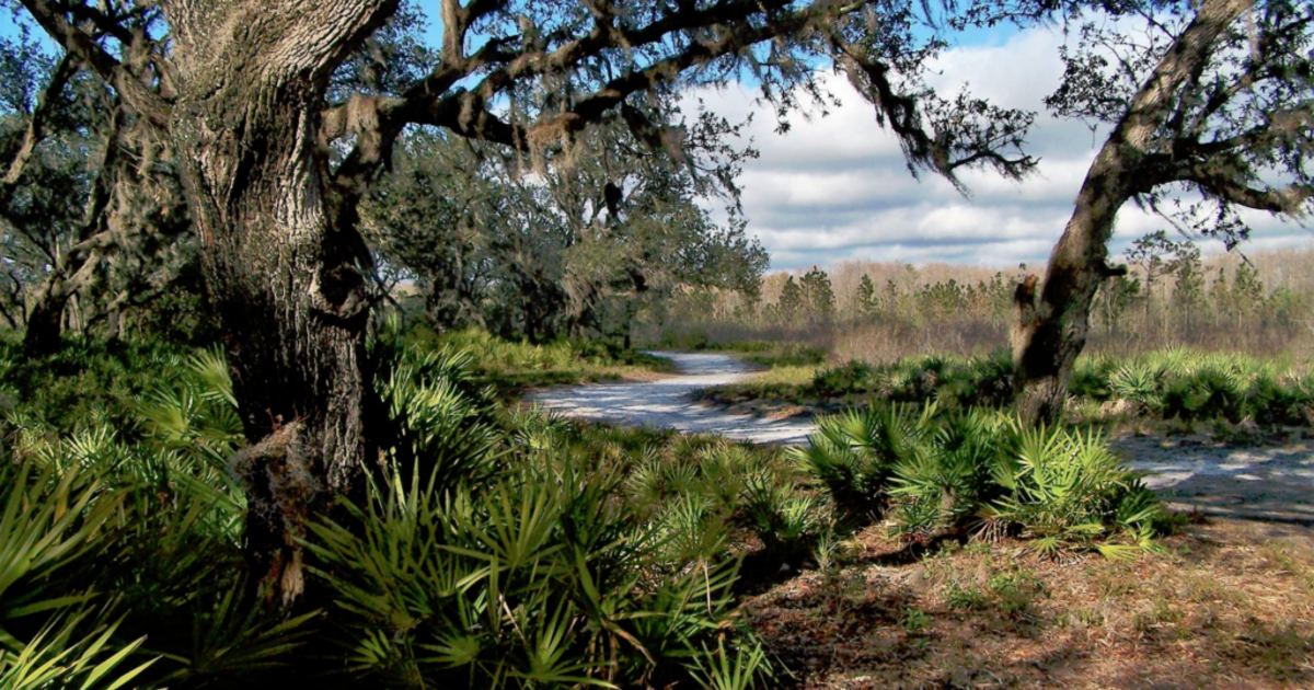Plan for new Central Florida toll road would split Split Oak Forest, a ...