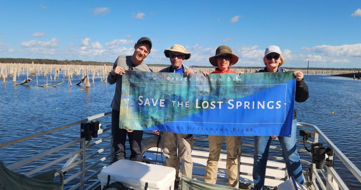 Rodman drawdown exposes the beauty of Florida’s lost springs | News ...