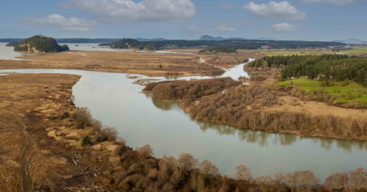 Fish and Wildlife to deploy drones in battle against invasive plants ...