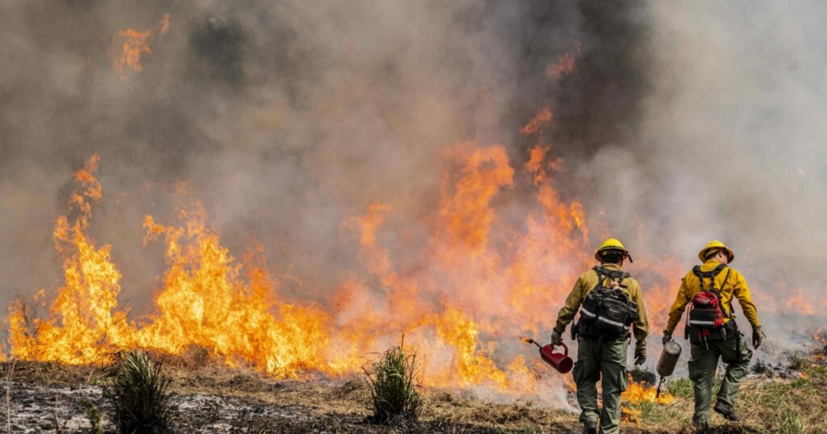 WA prisoners struggle with wildfire smoke as ventilation upgrades go ...