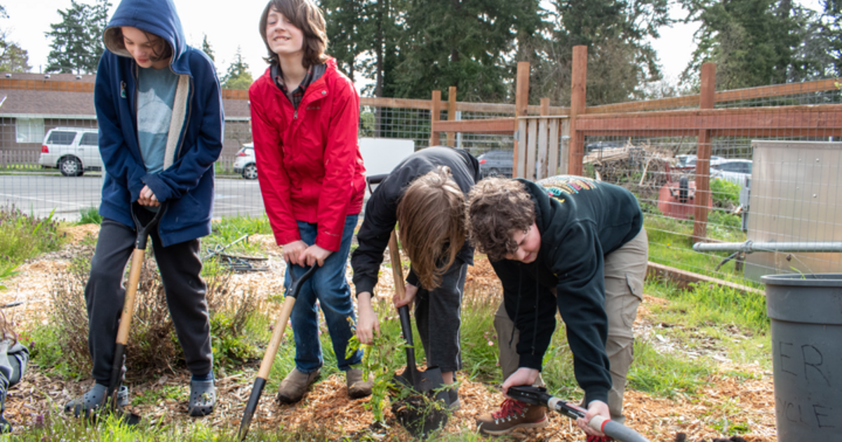 Farm-to-school programs flourish in Washington | News From The States