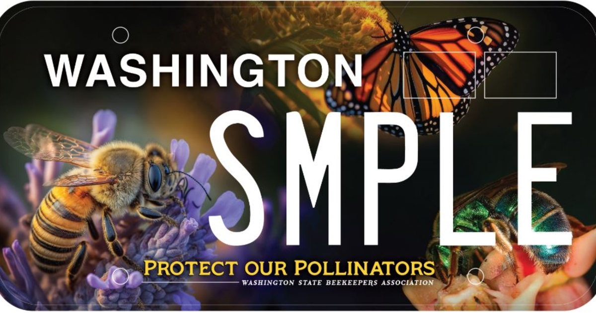Smokey Bear, pickleball, and pollinator license plates on the way in WA ...