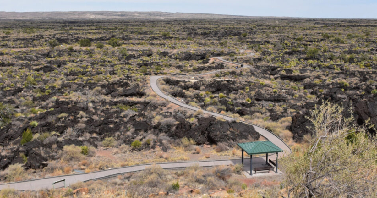 Feds officially cancel conservation rule for public lands | News From ...