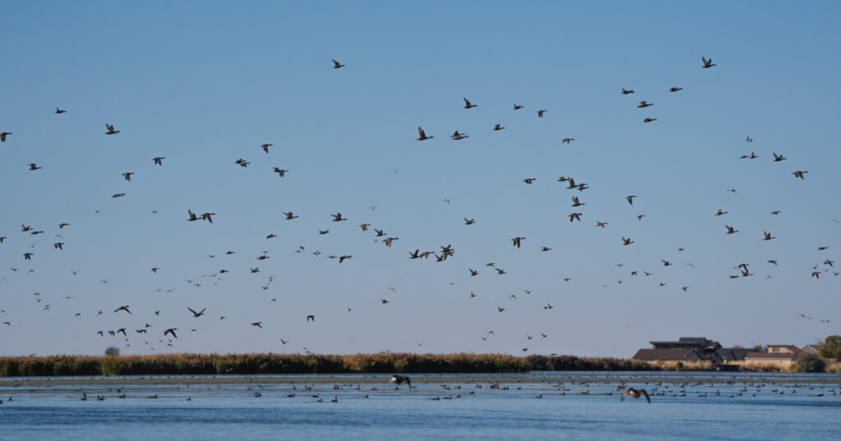 As water levels dwindle, Utah legislature might address Great Salt Lake during a special session ...