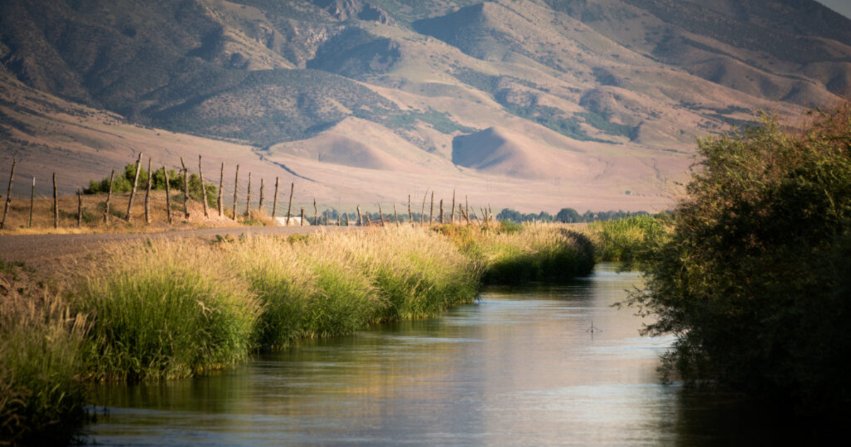 Engineers give Utah infrastructure a high grade, but say levees and ...