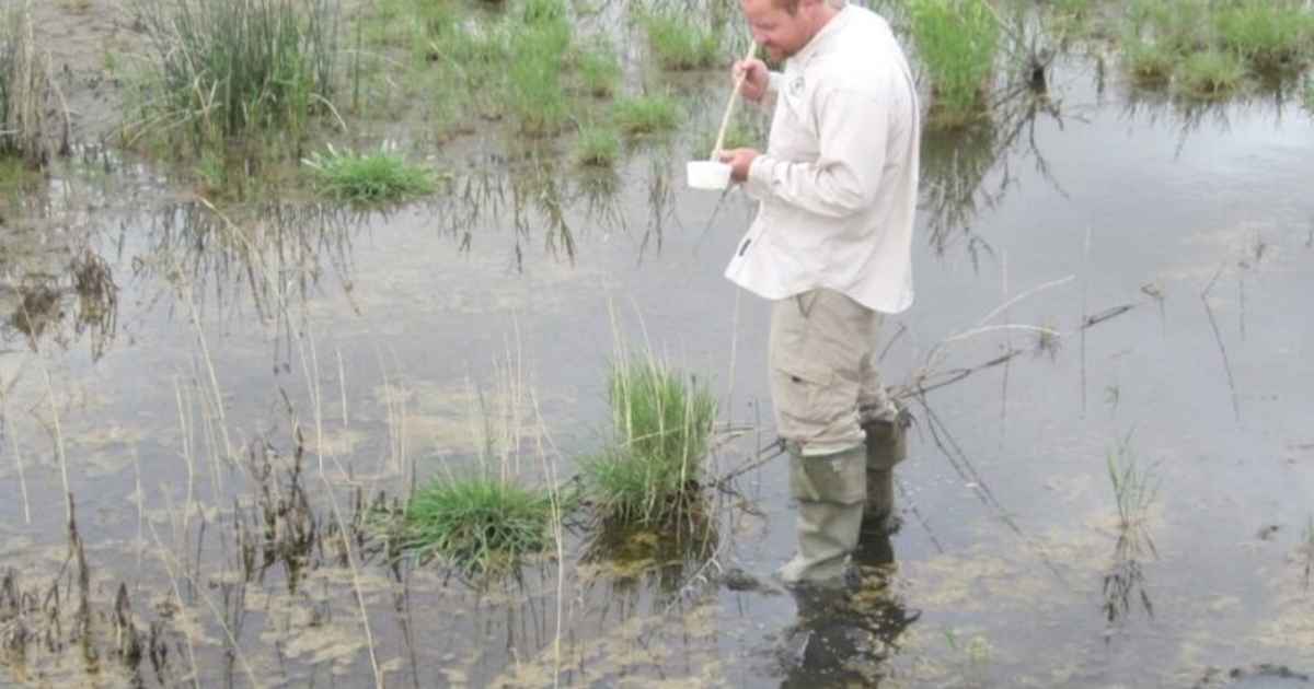 Utah County mosquito pool tests positive for West Nile virus | News ...