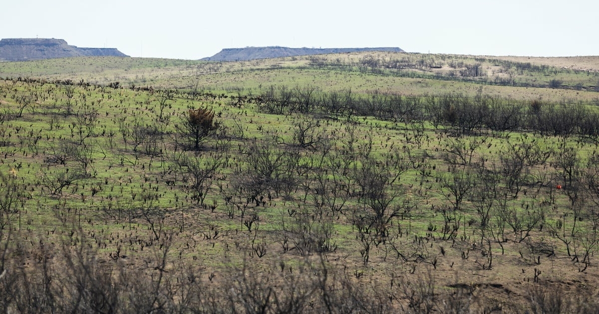 Three months after the Texas’ largest wildfire, Panhandle residents are ...