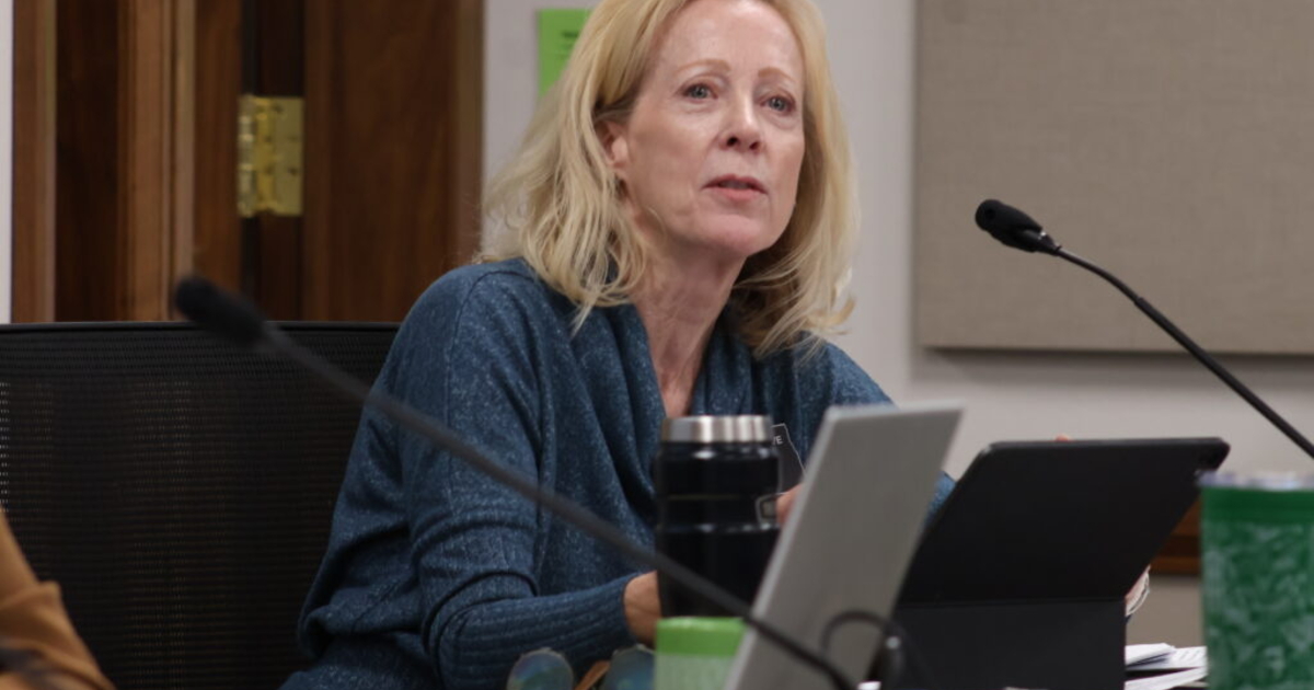 Fargo lawmaker Liz Conmy dies in Minnesota plane crash | News From The ...
