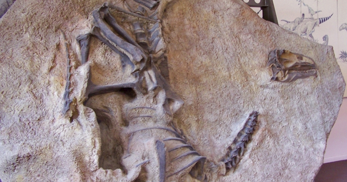 New thoughts about the impact of old bones in the rural West | News ...